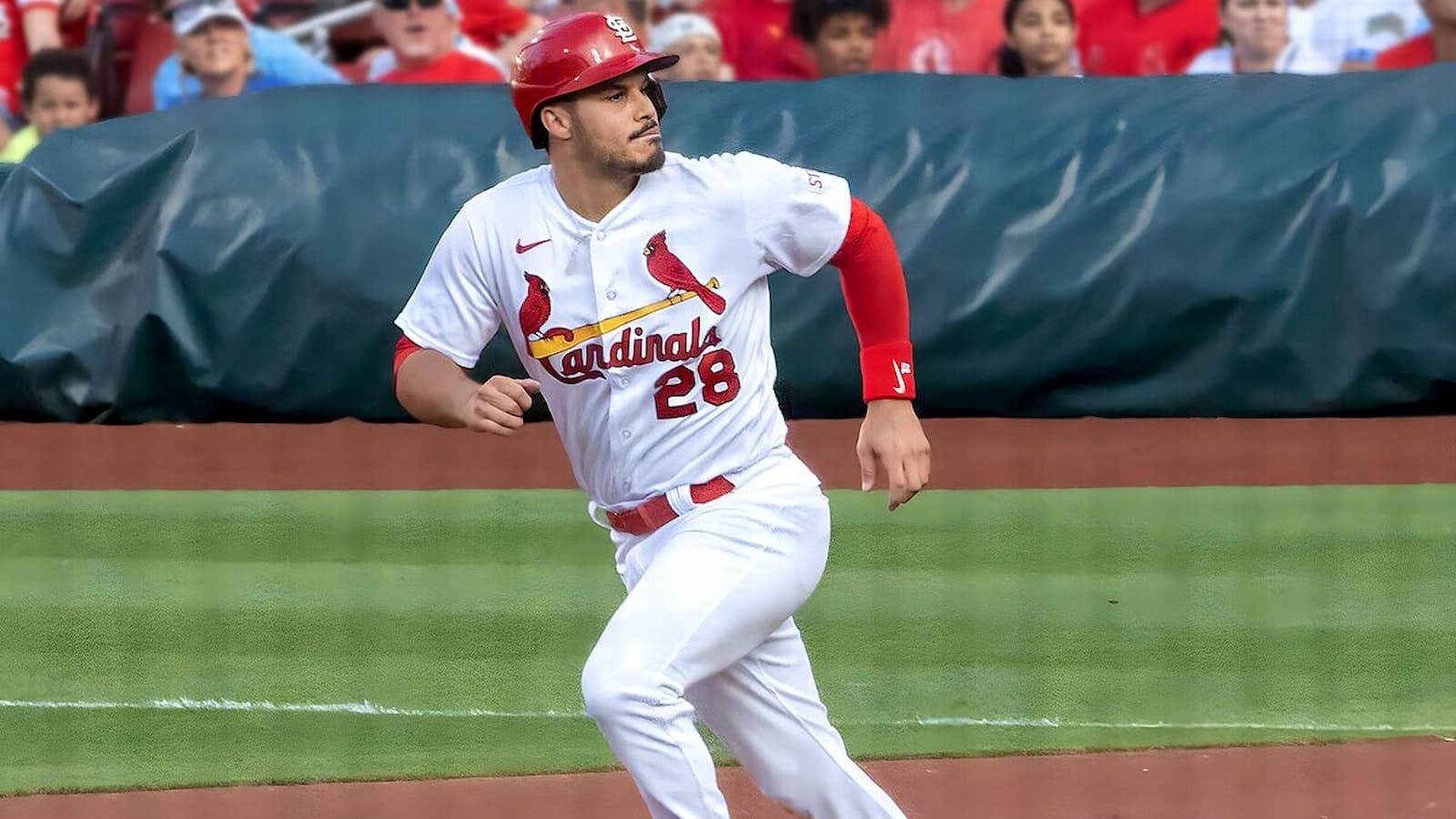 A Look at the Finalists for the 2024 Gold Glove Awards