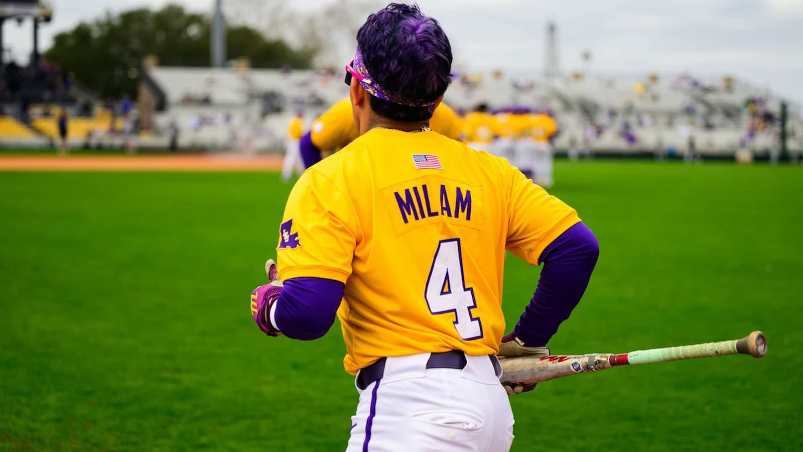 2025 Fall College Baseball Reset: LSU